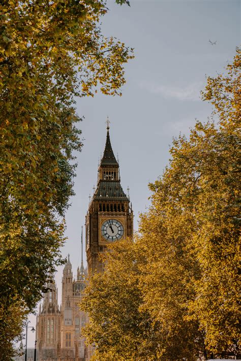 건축 고딕 스타일 관광 관광 명소 구름 나무 도시 도시 풍경 도시의 랜드마크 런던 문화 유산 봄 빅 벤 상징적인 세로 수도 수직 쐈어 스카이