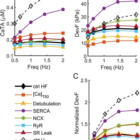 modulation of frequency dependency by ca 2 dynamics factors in a