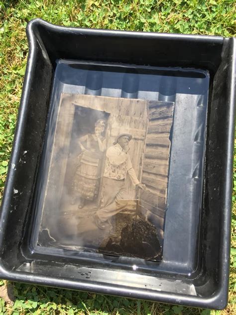 Stephen Brule Photography