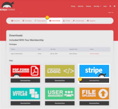 your guide to accepting payments with stripe in wordpress ninja forms