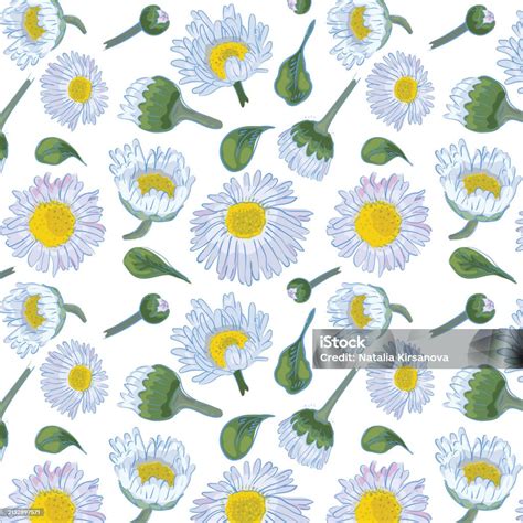 흰색 배경에 귀여운 데이지 꽃과 나뭇잎이 있는 완벽 한 패턴입니다 0명에 대한 스톡 벡터 아트 및 기타 이미지 0명 1960 1969 년 1970 1979 년