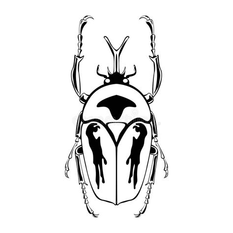 Vector Cartoon Flower Beetle Character Isolated Illustration Stock