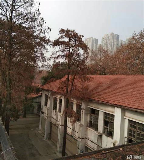 【1图】古田三路轻轨站附近工业园区武汉硚口古田厂房仓库土地车位出租 武汉58同城