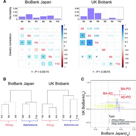 Genetic Correlation Among The Autoimmune And Allergic Diseases A