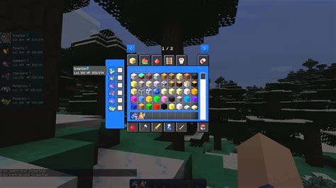 How To Disable And Rename Your Pokemon In Pixelmon YouTube