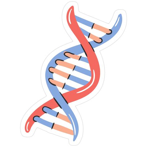Dna Structure Design Sticker Vinyl Decal Stickers Hydroflask Quirky