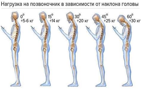 Гимнастика для позвоночника Мирзакарима Норбекова Упражнения