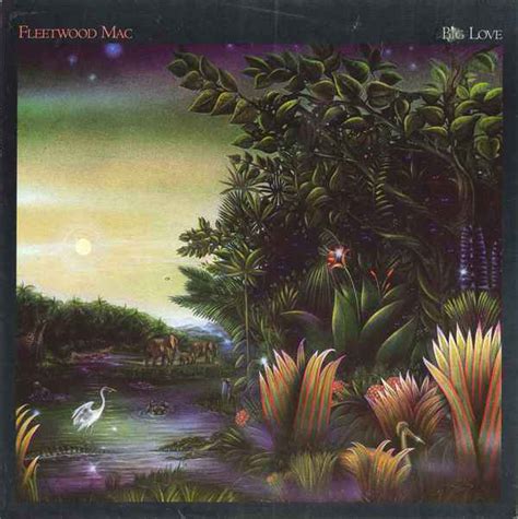 Fleetwood Mac Big Love 1987 Vinyl Discogs