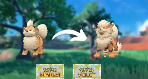 Growlithe Evolution Level