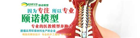 颐诺 Enovo Medical Model旗舰店 京东