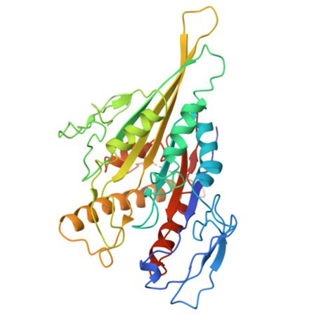 Gene Q12756 Protein Kif1a Overview Cansarai