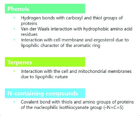 Functional Groups And Mode Of Action Of Bioactive Compounds Download Scientific Diagram