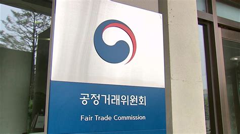 공정위 독소조항 가득 알리·테무 불공정 약관 시정