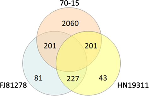 Venn Diagram Showing The Presenceabsence Variation Of The Gene Set Download Scientific Diagram
