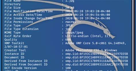 Install Exiftool Kali Polcost