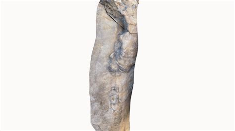 Teichichnus Download Free 3d Model By High Plains Rifter