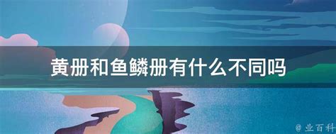 黄册和鱼鳞册有什么不同吗 业百科