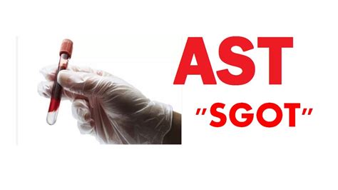 What Does Low Ast Mean In A Blood Test At Doris Hobson Blog