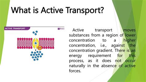Cell Transportationpptx