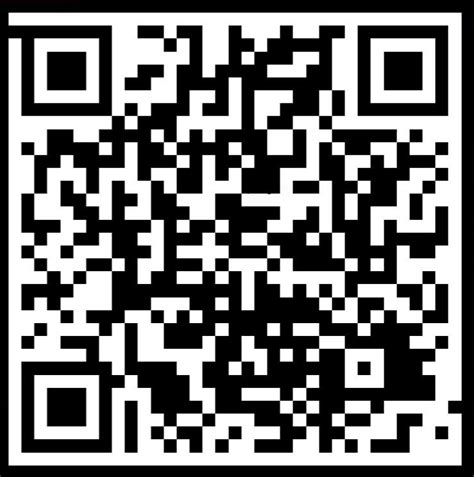 Can Some One Explain What Is This Qr Code S Mean Rplace