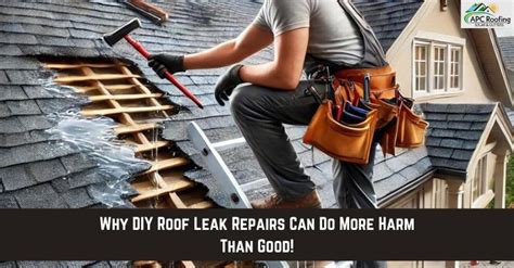 An Invaluable Insight Into Florida Roofing Needs Apc Roofing
