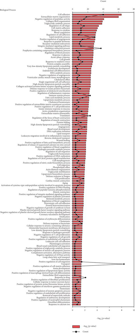 Global Proteomics Analyses And The Identification Of Differentially