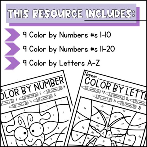 Bug Insect Color By Code Insect Color By Number Insect Color By Letter Made By Teachers