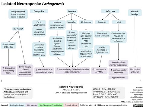 Isolated Neutropenia Calgary Guide