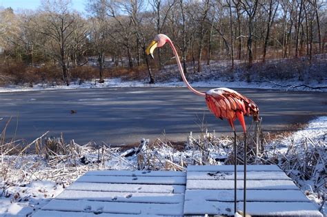 Joes Retirement Blog A Christmas Day Flight Manomet Plymouth