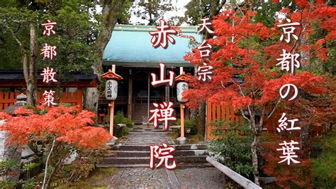 京都散策 京都の紅葉 赤山禅院 見頃 kyoto japan 4K YouTube