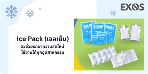 Ice Pack ตัวช่วยรักษาความสดใหม่ ใช้งานได้ทุกอุตสาหกรรม Exos Ice Pack