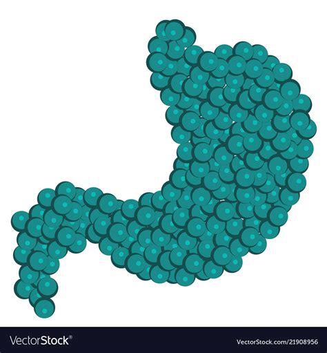 Shape Enzymes Cells Royalty Free Vector Image Vectorstock
