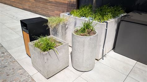 Concrete Planters Featuring Lush Grass Set In A Modern And Inviting