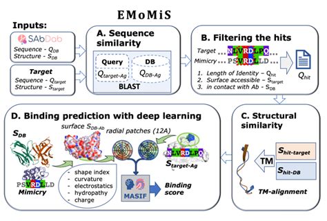 Emomis Computational Pipeline For Epitope Based Molecular Mimicry