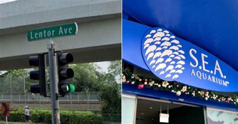 Raeesah Dumbfounded By Wp Panels Review Of Her As Mp Says Pritam And Wp Leaders Guided Her