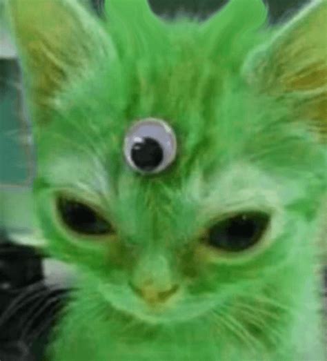 Glorpy Zeep Raliencatglorp