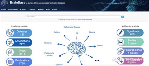 BrainBase 脑部疾病综合性数据库 知乎