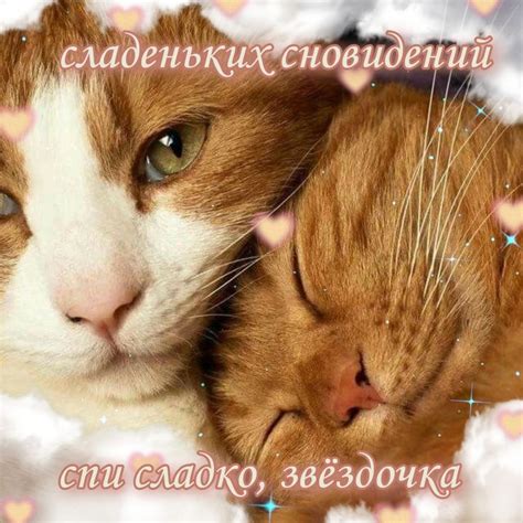 Спокойной ночи Смешные карикатуры Смешные мемы Смешные