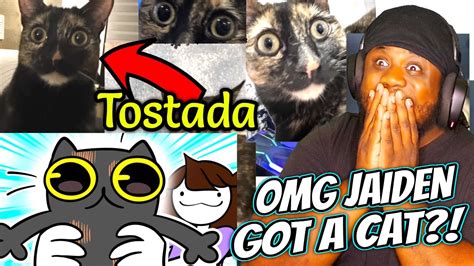 Tostada Looks Scared Jaiden Animations I Got A Cat Reaction Youtube