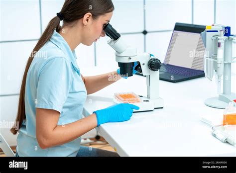 Cell Migration And Invasion Assays In Cancer And Developmental