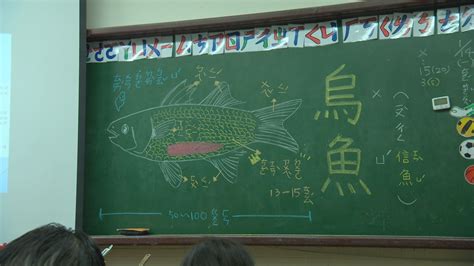 海味小學食魚趣｜讓孩子從吃魚中認識海洋 我們的島