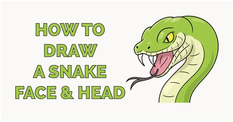 How To Draw A Snake Face And Head Really Easy Drawing Tutorial