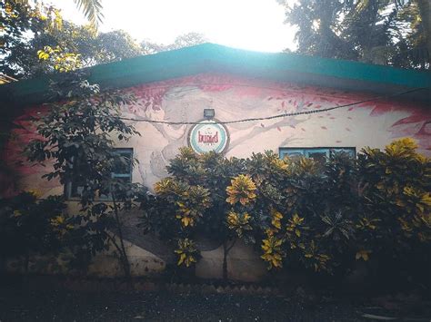 Bunkd Hostel Anjuna Dorms And Restaurant 𝗕𝗢𝗢𝗞 Goa Hostel 𝘄𝗶𝘁𝗵 𝗙𝗥𝗘𝗘