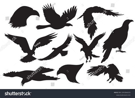 Eagle Vector Space Predators Bird Prey Stock Vector Royalty Free
