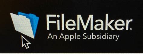 Database Solutions Using Filemaker By Infinity Turbine