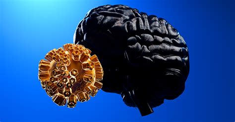 How Can Herpes Affect Your Brain
