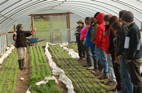 Agricultural Education And Training AET System