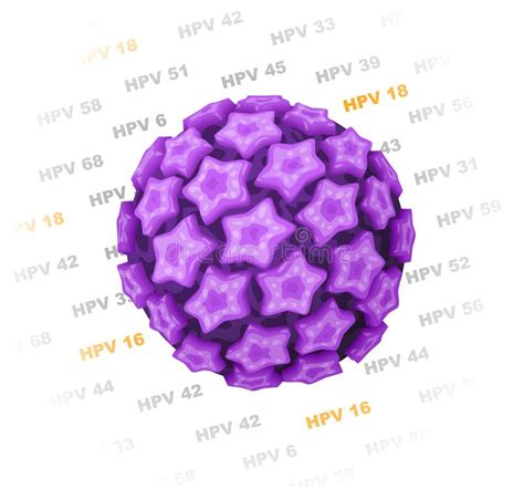 Hpv Human Papillomavirus Stock Vector Illustration Of Human 42596663