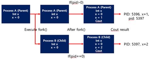 Os What Is The Fork Function Deepdivetech