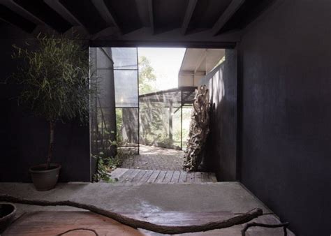 Woodland Greenhouse Offers Shelter To Flora And Fauna